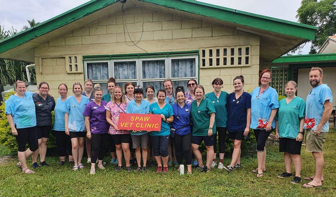 More than 400 animals treated at SPAW and Unitec joint clinic - SPAW